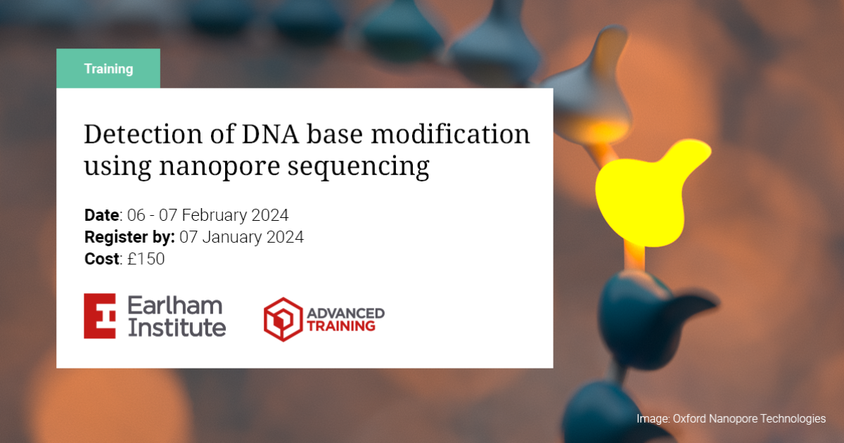 Detection Of Dna Base Modification Using Nanopore Sequencing Earlham
